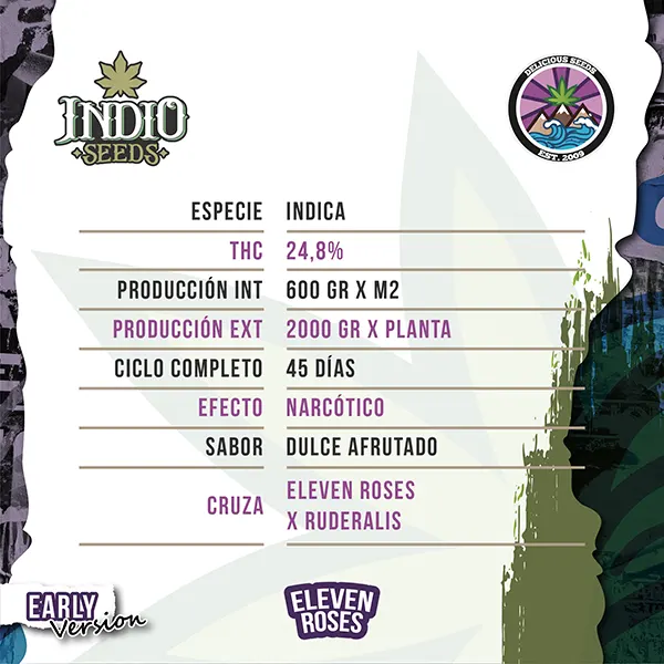 Eleven Roses Early Version x3 - Delicious Seeds | Indio Seeds