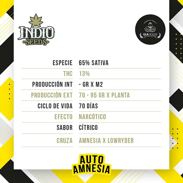 Auto Amnesia - Gea Seeds | Indio Seeds