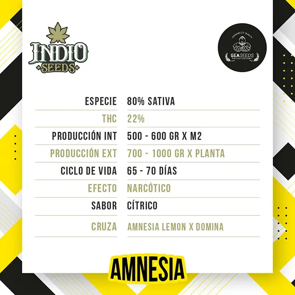 Amnesia Pro Fem - Gea Seeds | Indio Seeds
