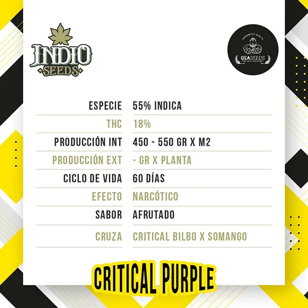 Critical Purple Fem - Gea Seeds | Indio Seeds