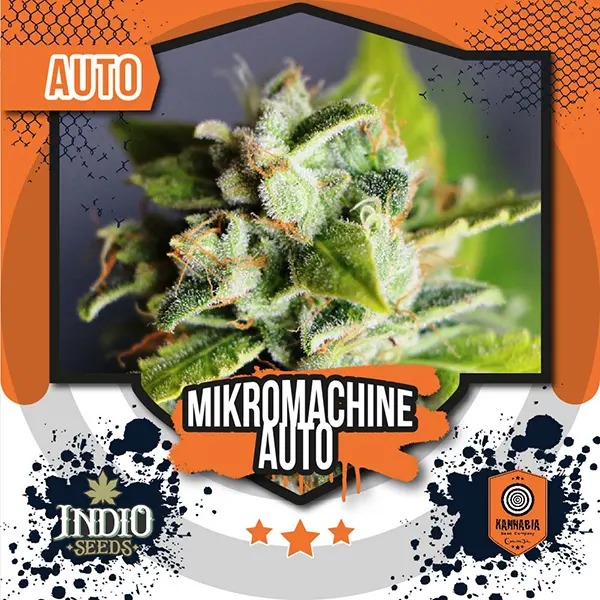 Mikromachine Auto - Kannabia | Indio Seeds