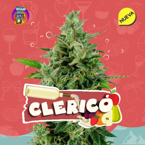 Clericó x4 - El Riqui Genetics | Indio Seeds